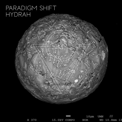 Hydrah – Paradigm Shift – How Lucky Media